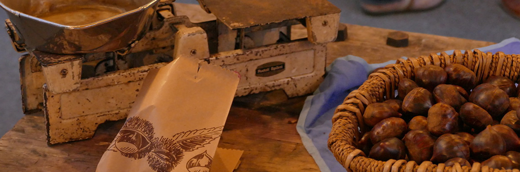 Unser Angebot – Marroni Mobile